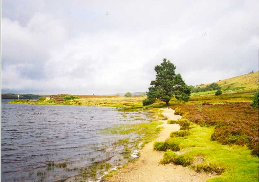 Lochindorb – The Greenfields